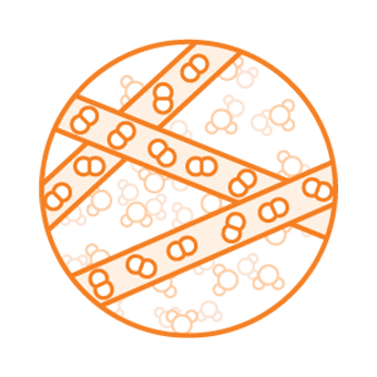 Lentilles cornéennes jetables journalières MyDayMD | CooperVision Canada